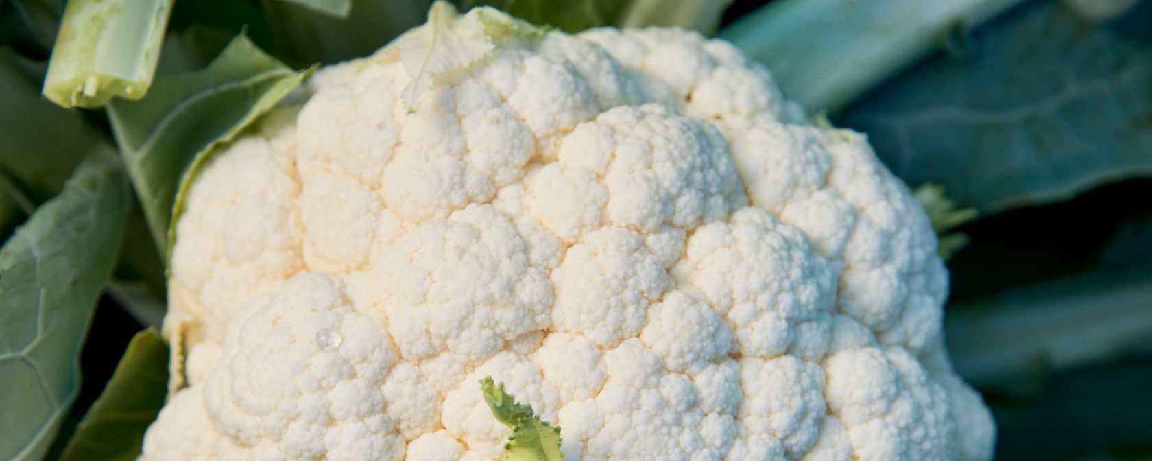 Blumenkohl: Gesundheitsvorteile und Nährstoffe im Fokus - Die Techniker