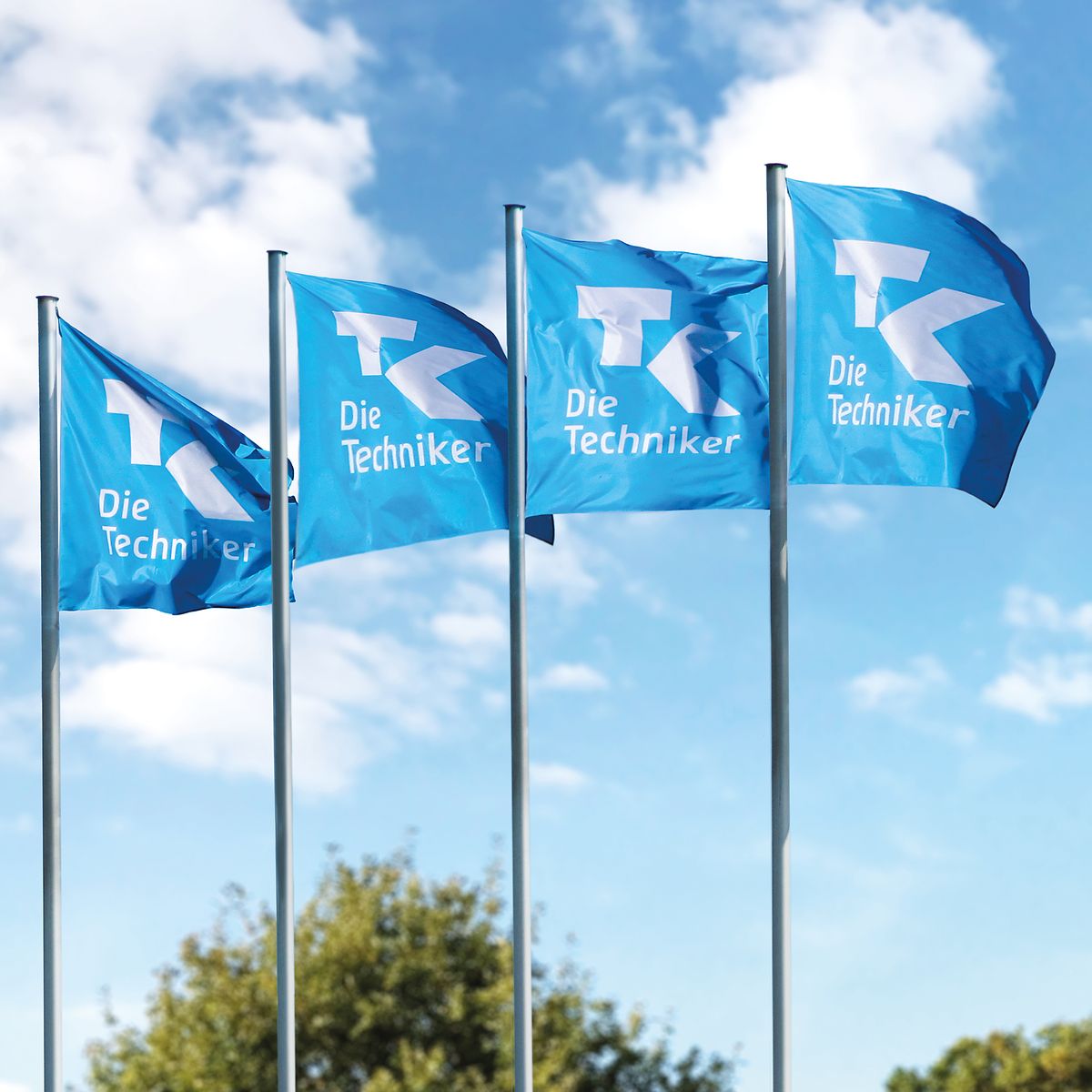 Awards and seals of approval | TK