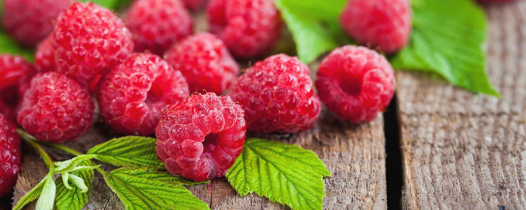 Beliebte Beerensorten - Merkmale und Inhaltsstoffe im Überblick - Die ...